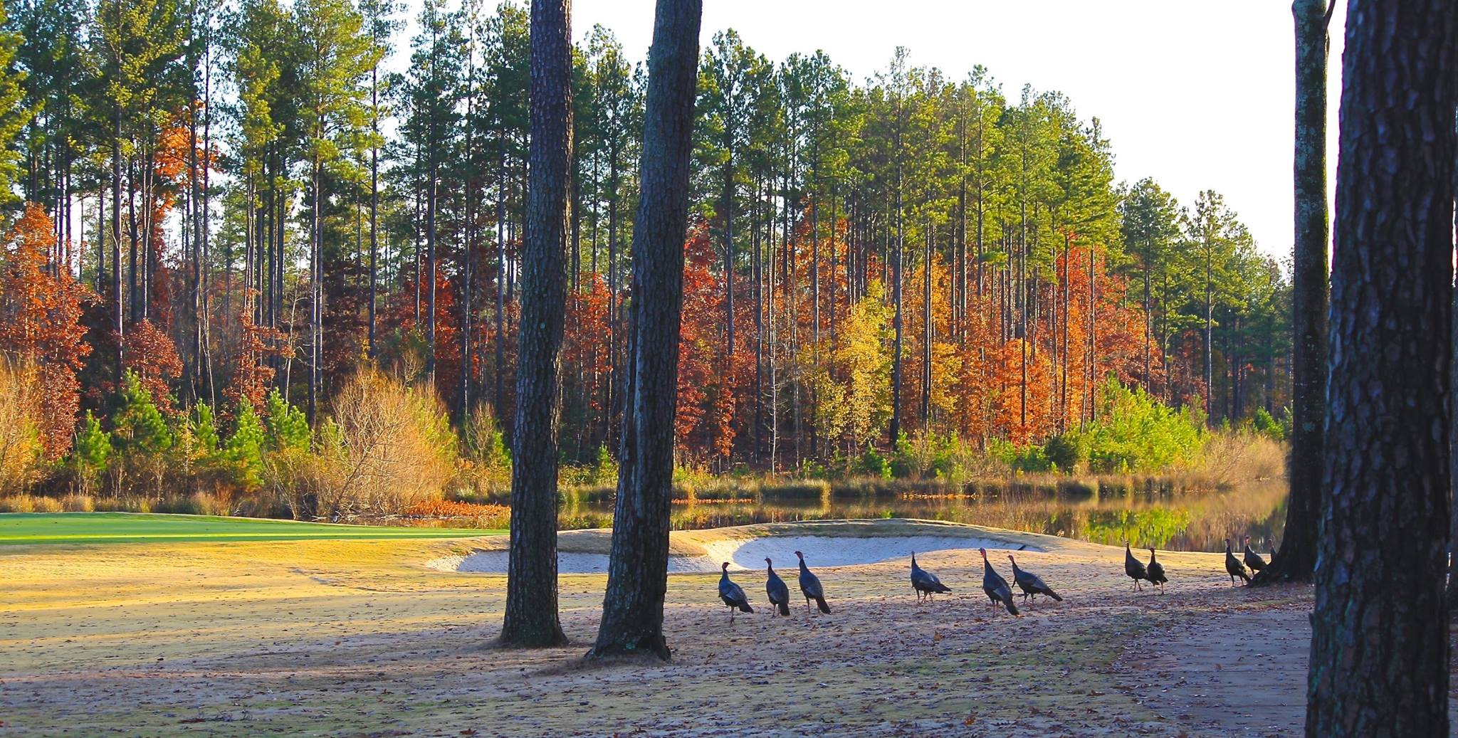 About Us - Edgewater Golf Club