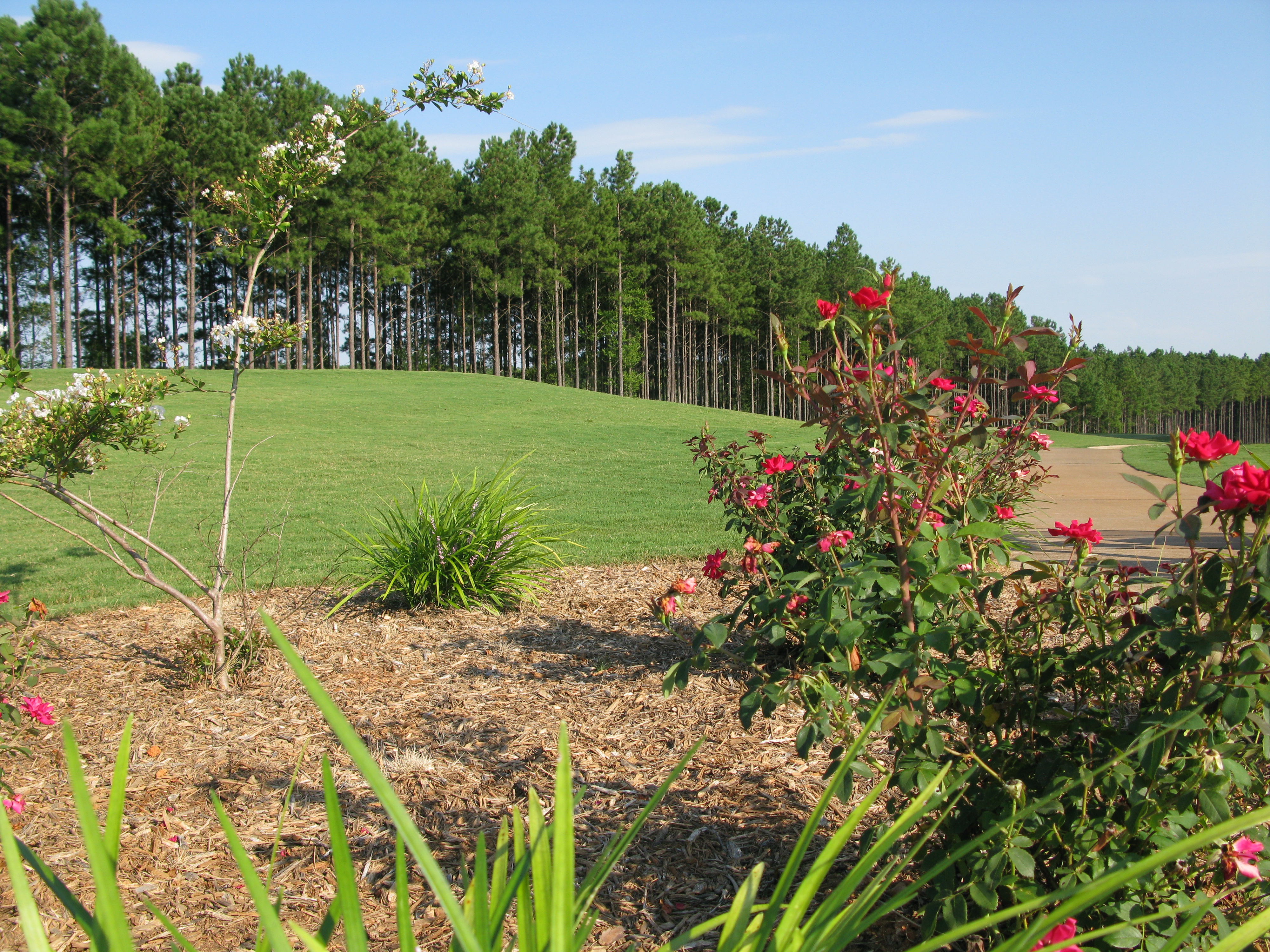 About Us - Edgewater Golf Club